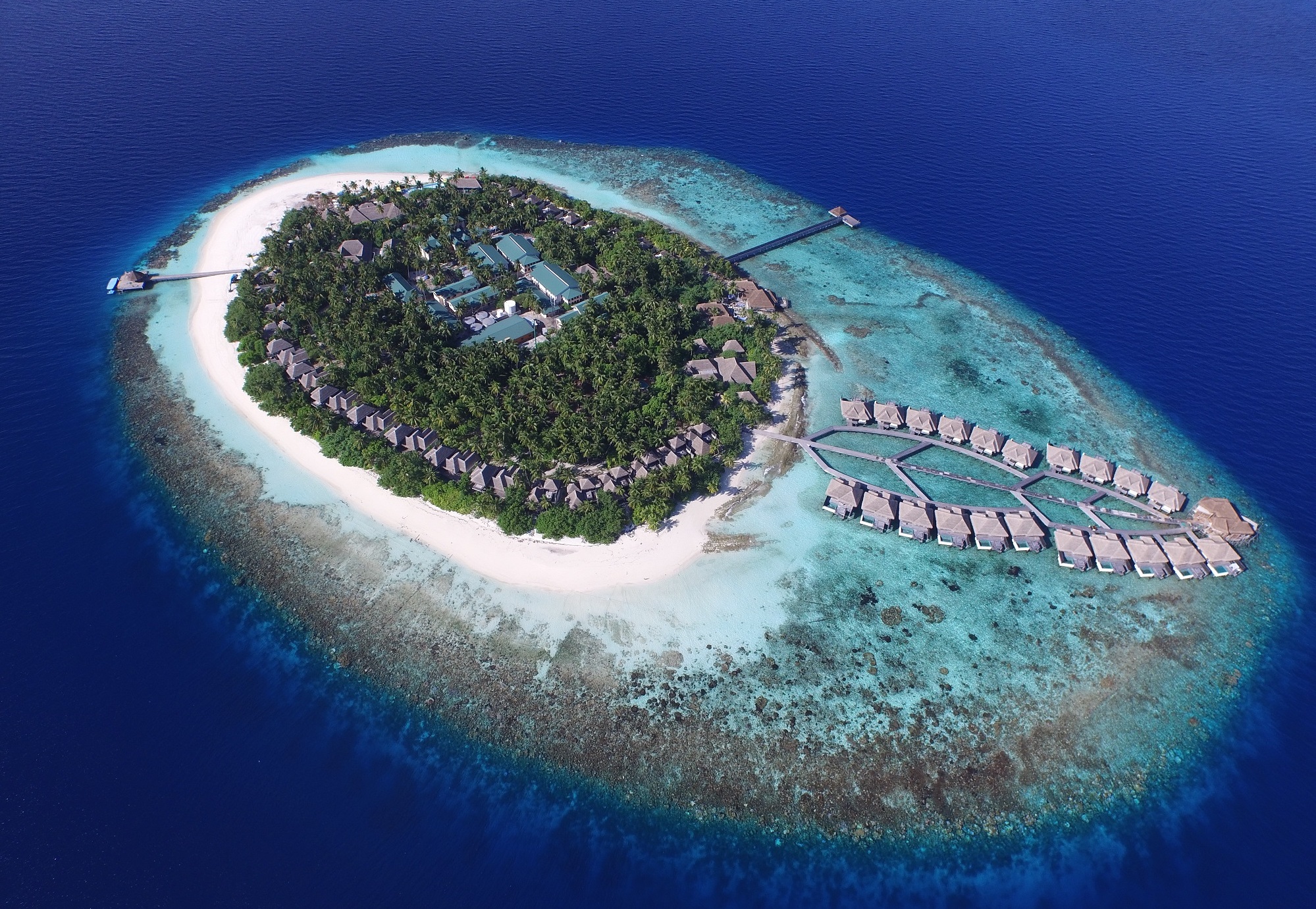 Escape to the Maldives this Winter - Isle Blue